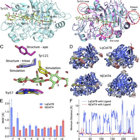 John Mcgeehan Professor Of Structural Biology Professor University Of Portsmouth