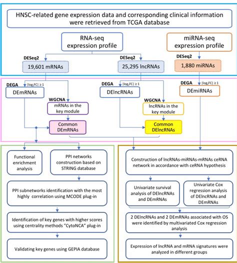 Flow Chart Of Data Preparation Processing Analysis And Validation In