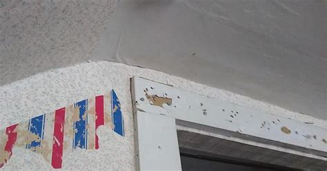 Wallceiling Stuff Album On Imgur