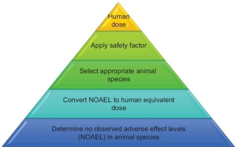 Tomatidine Supplement Availability And Dosage Is The Tomatidine For