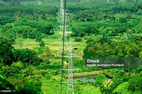 Highvoltage Transmission Line With An Electric Tower In The Countryside