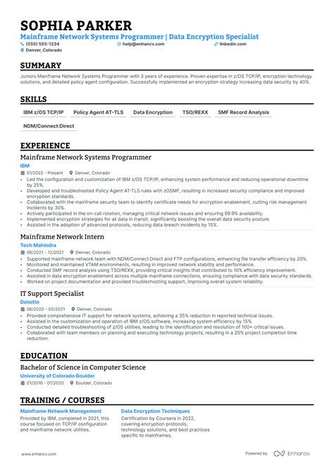 1 Successful Network Programmer Resume Example And Writing Tips For 2024