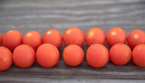 Tiny Red Cherry Tomatoes Fresh From The Garden Stock Image Image Of Freshness Closeup