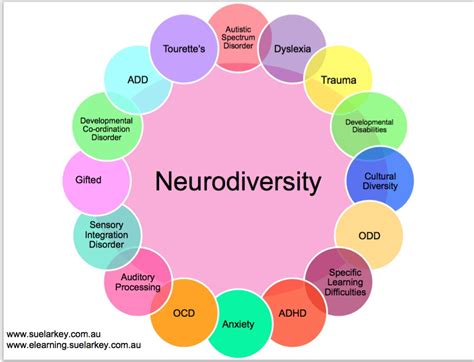 Neurodiverse Learners Teaching Strategies