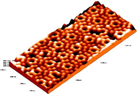 Biointerface Si 111 Surface And 7×7 Reconstruction