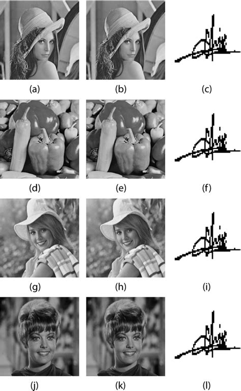 Visual Quality Of Embedded Images And Extracted Ais Adgj Are