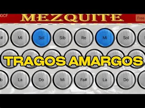 How To Play Tragos Amagos On Mezquite Accordion Youtube