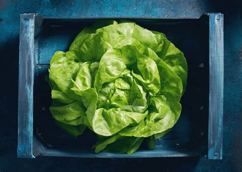 Temperature Sensors In Cargo Containers Making Insurance Claims Easier