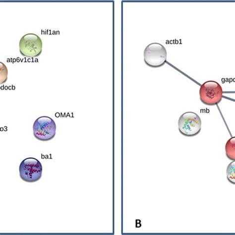 Protein Protein Interaction Network By String Software Panel A