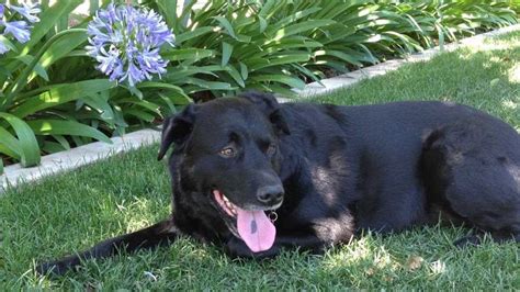 Edie Lambert 25 Things You Dont Know About Me