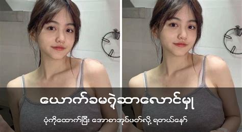 ယောက္ခမရဲ့ဆာလောင်မူ့ ဖောင်းဒိုင်းစာအုပ် အပြာစာအုပ် အောစာအုပ်များ