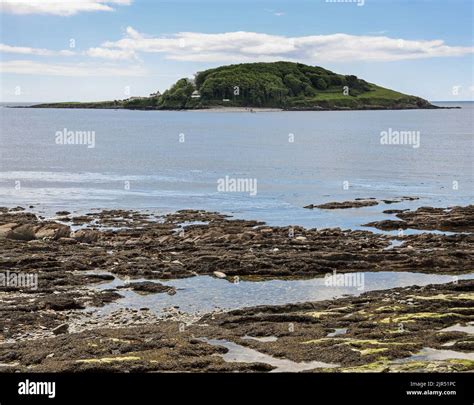 Looe Island From Hannafore West Looe Cornwall According To Local Legend Joseph Of Arimathea