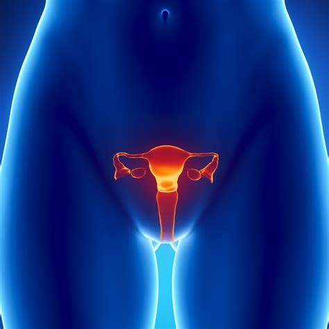 Birth Control Patch Placement