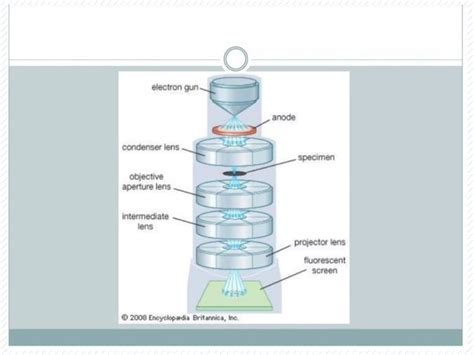 2 Sem Tem Microscopypptx Dr Thirunahari Ugandhar Ppt