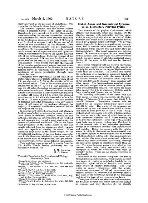 PDF Naked Axons And Symmetrical Synapses In An Elementary Nervous System DOKUMEN TIPS