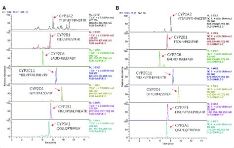 Chromatograms Of Seven Surrogate Peptides A And Their Corresponding