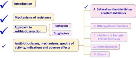 17 Antibacterial Drugs I Flashcards Quizlet