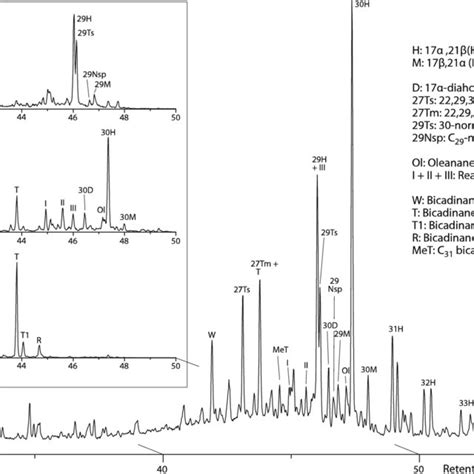The Mass To Charge Ratio Mz 191 Mass Chromatogram Of Saturated