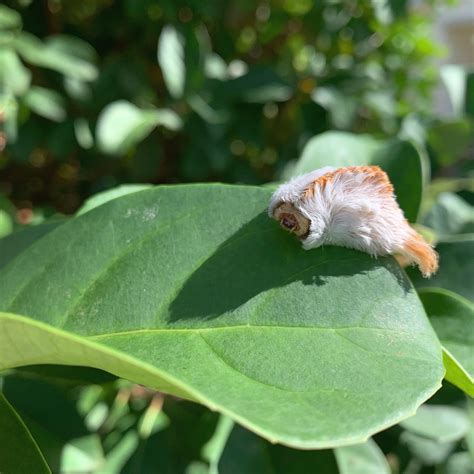 Finally A Sub Where This Guy Belongs He Didnt Get Much Love On R Aww Nor On R