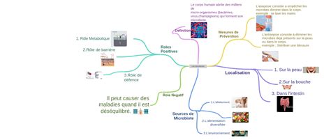 Les Microbiotes Coggle Diagram