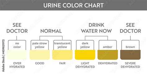 Dehydrated Urine