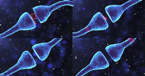 中枢神经细胞突触视频素材下载编号8829082光厂vj师网