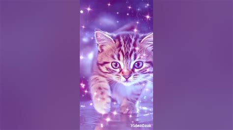 Милый котик 😻😻😻😻 Youtube