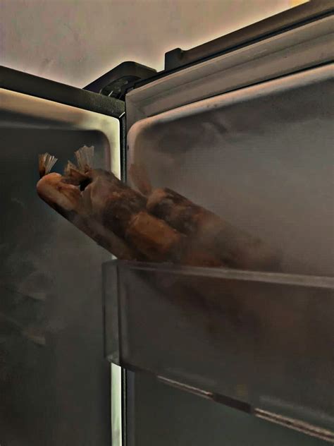 Aiskrim Batang Sappok