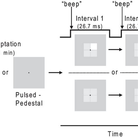 Schematic Representation Of A Trial Illustrating Stimulus Download Scientific Diagram