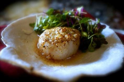 Plonk Beer And Wine Bistro A Bar In Houston Tx Thrillist