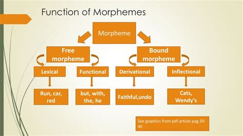 Ppt Morphology Powerpoint Presentation Free Download Id10922995