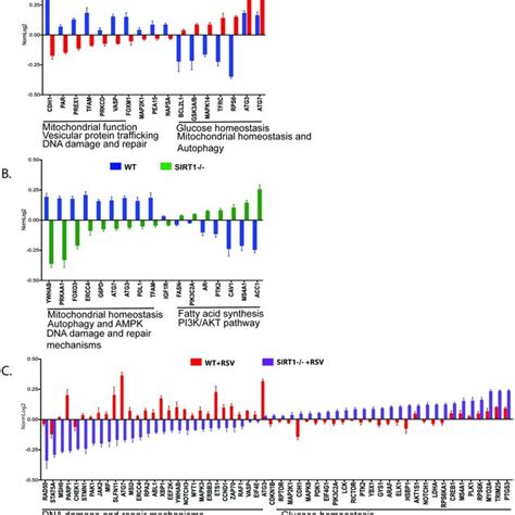 Reverse Phase Protein Array Rppa Analysis Wt And Sirt1 Deficient