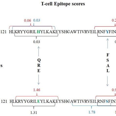 summarized iedb mhc class ii binding prediction results for hifnβ 1b t