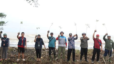 Lestarikan Pesisir Roban Timur Pltu Batang Tanam Ribuan Mangrove