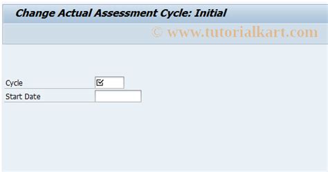 CPP2N SAP Tcode Change Actual Assessment For Processes