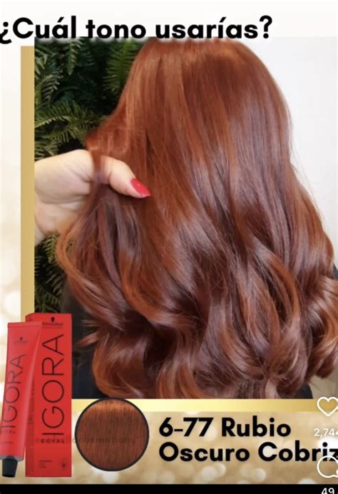 Cómo Lograr Un Color Avellana En El Cabello Artofit