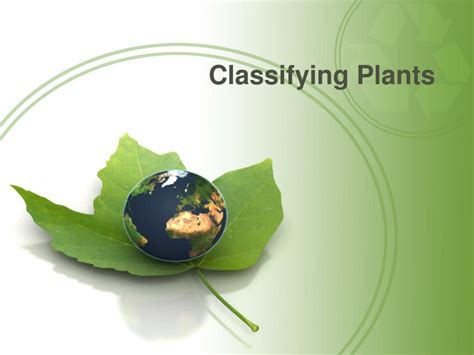 Ppt Classifying Plants Powerpoint Presentation Free Download Id