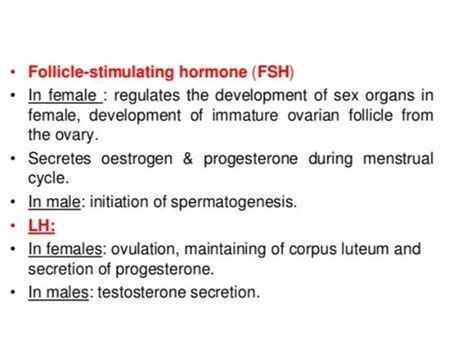 The Endocrine System Ppt