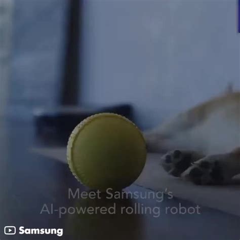 Florian Geay Posted On Linkedin