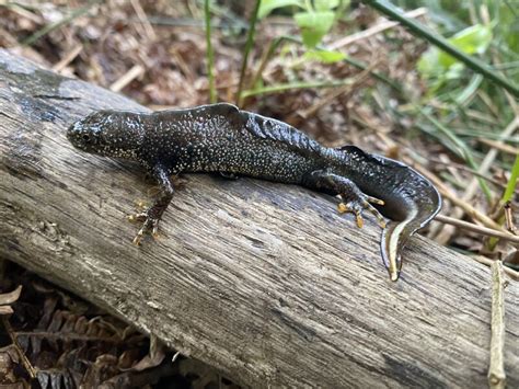 Kim Roll Baldwin Posted On Linkedin