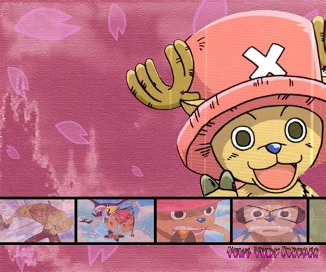 One Piece Chopper Wallpapers Top Free One Piece Chopper Backgrounds