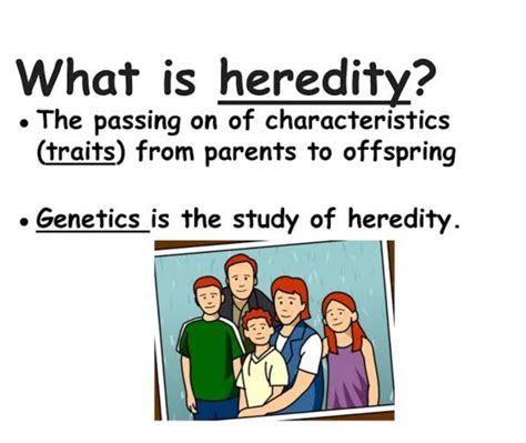 What Is Heredity With Example