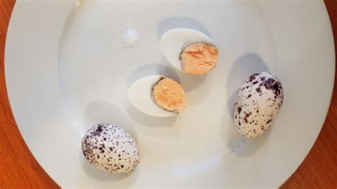 Orange Omelets Island Style Curry 4 Ways Sooty Tern Eggs Are Enjoyed
