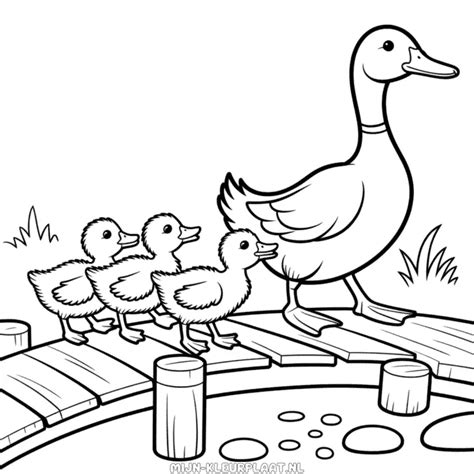 Kleurplaat Eend En Eendjes Gratis Kleurplaten Om Te Printen Voor