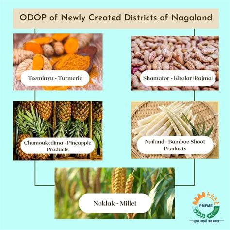 Pm Formalisation Of Micro Food Processing Enterprises Scheme Government Of Nagaland