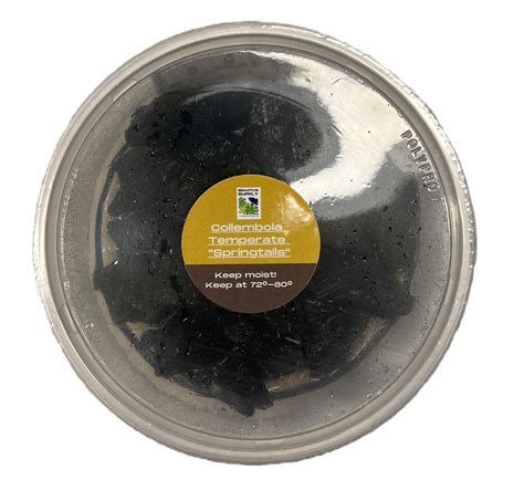 Springtail Culture 8 Oz Bioactive Supply