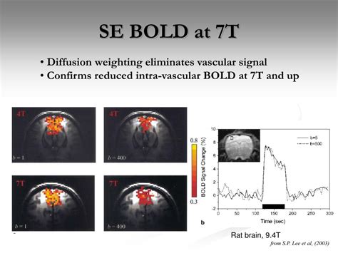 Ppt Bold Imaging At 7t Powerpoint Presentation Free Download Id269843