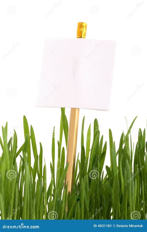 Grass With A Sheet For The Information Stock Image Image Of Freshness Herb 4031181