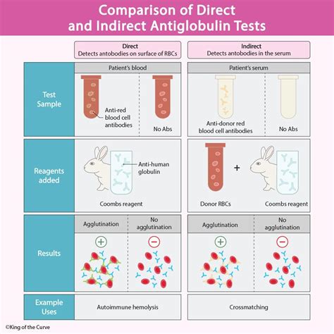 🧪 Understanding Direct Vs Indirect Antiglobulin Tests Coombs Tests — King Of The Curve