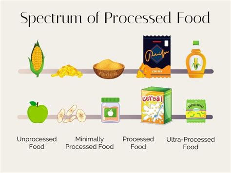 Example Of Food Processing Products At Carolyn Pless Blog